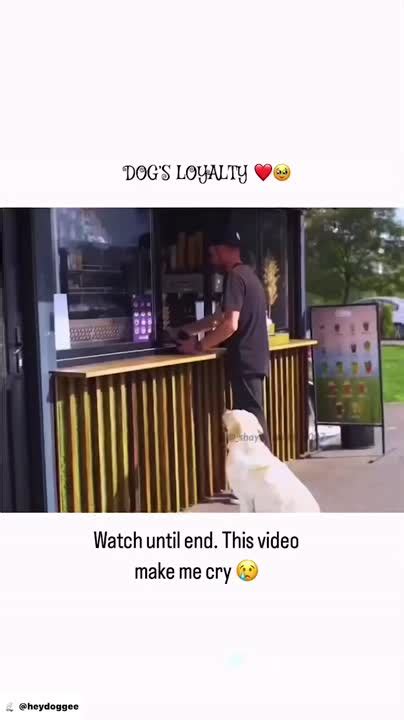 Vasantha Lakshmi Posted On Linkedin