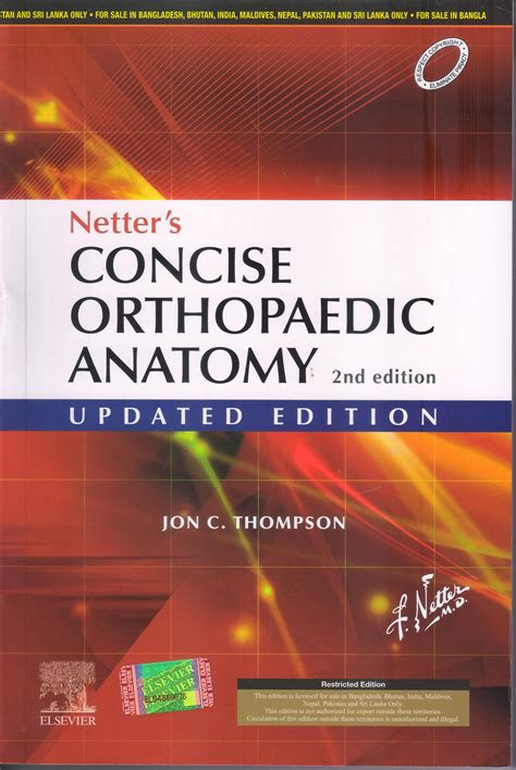 Buy Netter S Concise Orthopaedic Anatomy Updated 2nd Ed