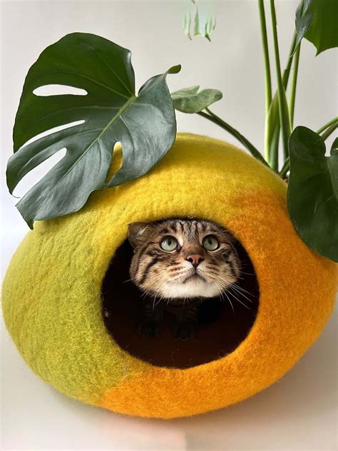羊毛氈洞穴封閉式貓窩貓用品 Lefunnycat阿馬爾菲的檸檬 Le Funny Cat 有趣貓｜寵物床人氣榜 Pinkoi