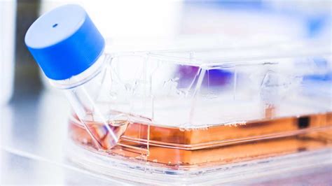Clinical Reagents Immudex