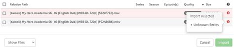 import failed path does not exist or is not accessible by sonarr
