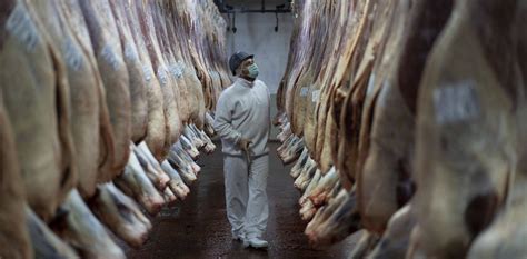 El Gobierno Nacional Oficializó La Prohibición De Exportar Siete Cortes
