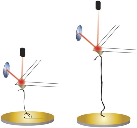 Illustration Of Graphene Nanoribbon Stretching A Schematic