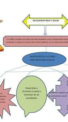 un organizador gráfico sobre la salud de nuestro cuerpo y la