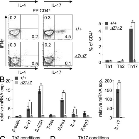 Th17 And Th2 Differentiation Is Impaired In Batf ΔzΔz Mice A Cells