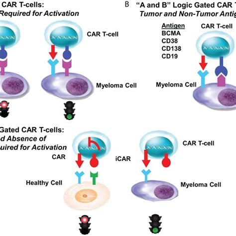 Logic Gated Car T Cell Design Strategies Shown Are Various Designs For