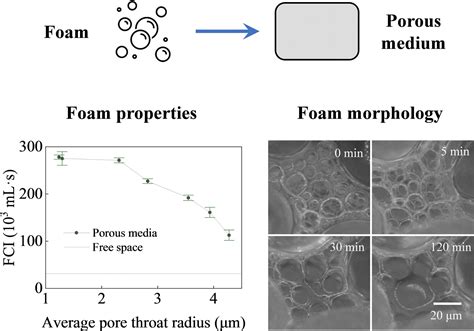 Effects Of Porous Media On Foam Properties Tao 2022