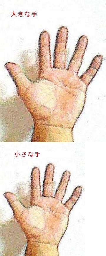 今日の一線 手相講座応用編第34回 『大きな手・小さな手』 手相占い 『今日の一線（相）』 楽天ブログ