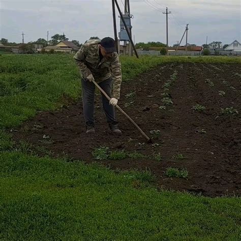 помог бабуле помогатьлегко творидобро помощь приятно бабуля
