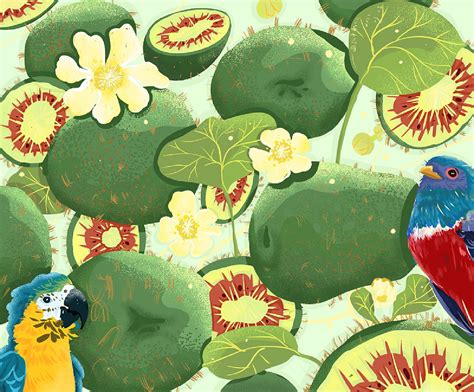 猕猴桃插画设计画绘本的lili 站酷zcool