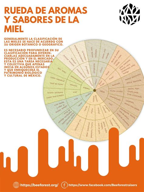 Rueda De Aromas Y Sabores De La Miel