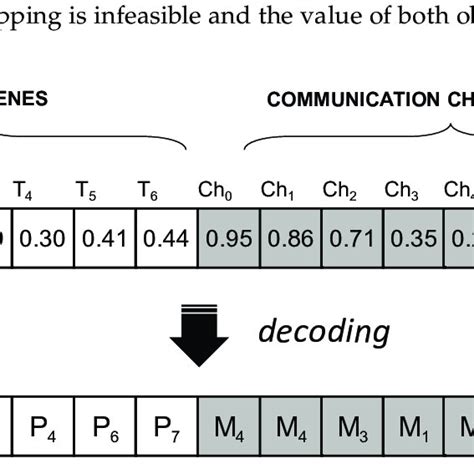 The Structure Of The Chromosome For The Application Model With Seven