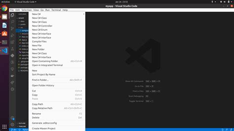 Need Help To Reset Vs Code Settings Rvscode