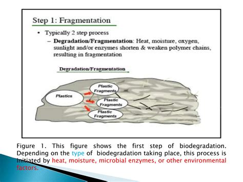 Biodegradable Plastic Pptx