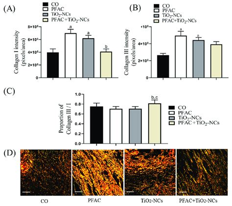 Quantification Of Type I And Iii Collagen In Treated Pfac Tio 2 Ncs Download Scientific