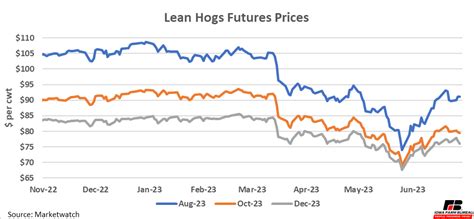 Hog Market Update June 2023