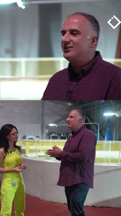 მითი კალმახის ორაგულად ქცევაზე Youtube