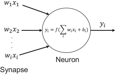 Forward Propagation Of A Single Unit Fnn Layer Download Scientific