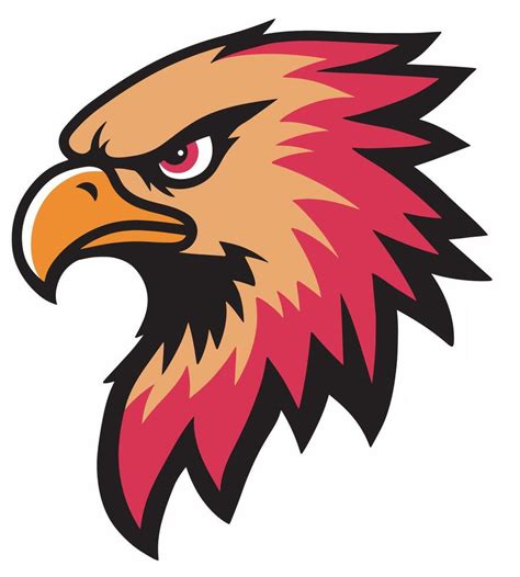 Hawk Head Mascot Logo Design Art 57448912 Vector Art At Vecteezy