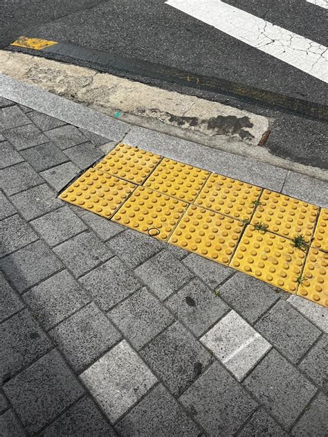 코엔자임큐텐 추천 및 코엔자임 Q10 효능 변화과정 네이버 블로그