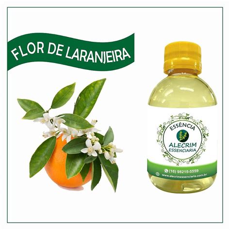 Total Images Ess Ncia Flor De Laranjeira Para Que Serve Br