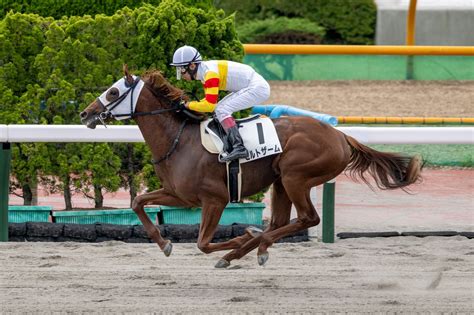 Netkeiba On Twitter 【函館 2歳新馬】 5r コルルディ 芝1200 父ダノンシャンティ 母ハイヨーシルバー 鮫島