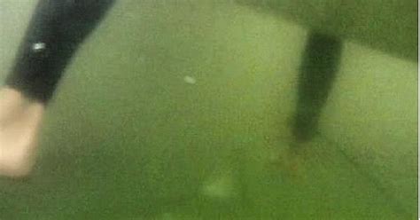Oblivious Surfers Gopro Video Reveals Great White Shark Just Feet Away