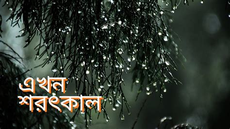 শরৎ ঋতুর বৈশিষ্ট্য শরৎকালের প্রকৃতির রূপ কেমন থাকে বৃস্টির পরেই আবার রোদ Youtube