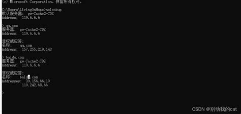 查询站点真实ip地址，绕过cdn