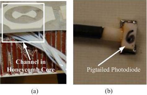 Photographs Showing A Optical Fibers Leaving The Optical Distribution