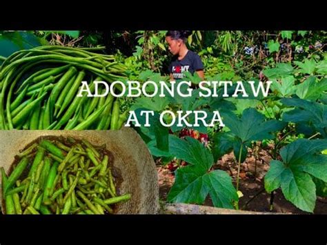 SIMPLENG LUTO ADOBONG SITAW AT OKRA | Jamuels Cooking - YouTube