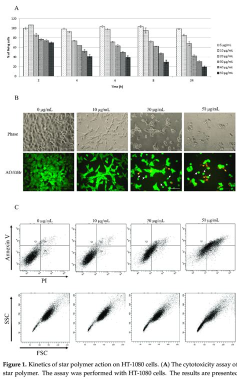 Kinetics Of Star Polymer Action On Ht 1080 Cells A The Cytotoxicity