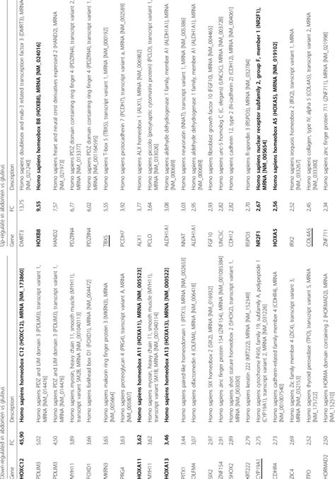 Differential Gene Expression Between Abdominal And Gluteal Adipose Download Table