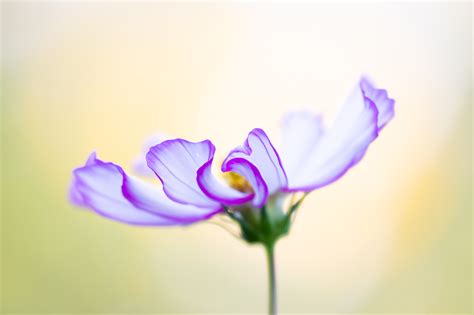 The Ultimate Guide To Shutter Speed For Macro Photography