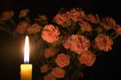 Carnations By Candle Light Picture Image 1215705