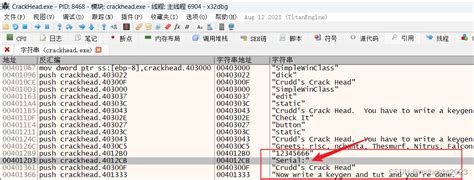 X32dbg动态调试 内存断点x32dbg如何设置断点 Csdn博客
