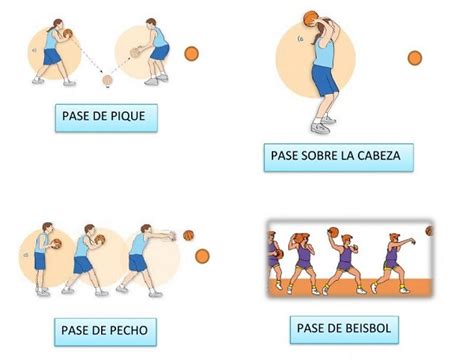 Descubrir 47 Imagen Fundamentos Basicos De Basquetbol Abzlocal Mx
