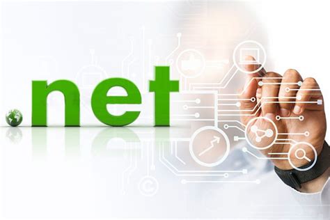 Top Benefits Of Net Application Development Services For Businesses