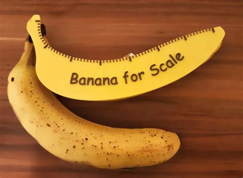 Banana For Scale By Djsgxii Makerworld