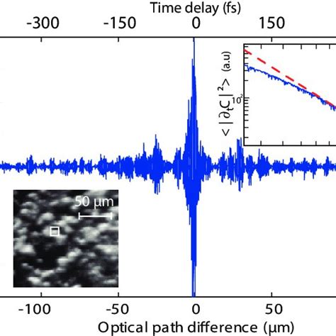 Passive Measurement Of The Self Greens Function In A Multiple