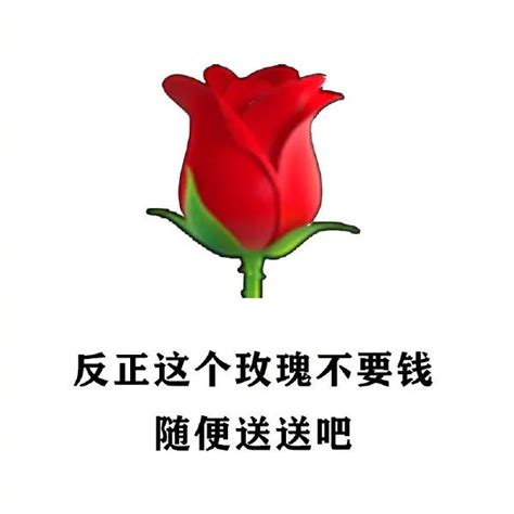 工作群里常见表情的真正含义工作群送花的表情包意思 Csdn博客