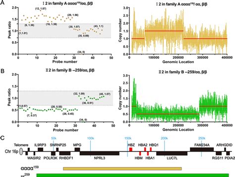 Mlpa And Ngs Analysis Of The Two Families A Mlpa And Ngs Analysis Of