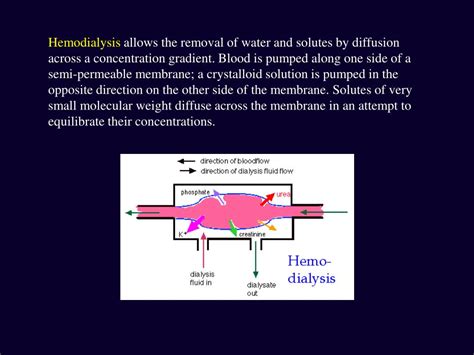 PPT CVVH Continuous Veno Venous Hemofiltration PowerPoint Presentation ID