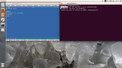 command line pascal ide output problem ask ubuntu