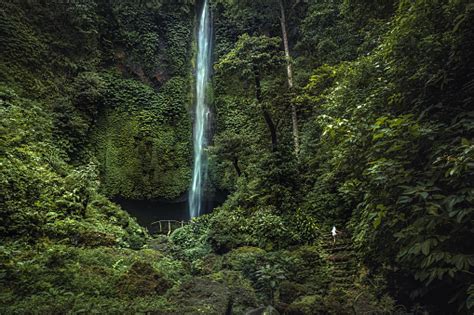 아름다운 무성한 녹색 열대 우림 정글 풍경 바위 금고와 무성한 단풍 식물로 덮여 있고 인도네시아의 발리의 Banyumala 폭포가 있습니다 열대우림에 대한 스톡 사진 및