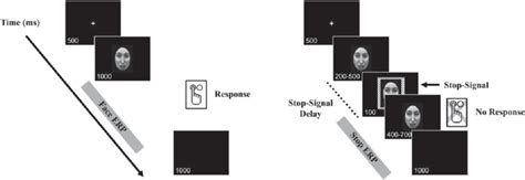 Stop Signal Task Paradigm A Go Trials Begin With A Fixation Screen