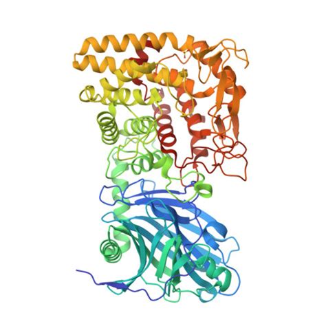 Rcsb Pdb 1lf6 Crystal Structure Of Bacterial Glucoamylase