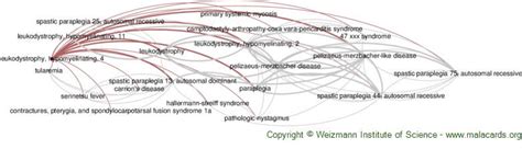 Leukodystrophy Hypomyelinating 4 Disease Malacards Research