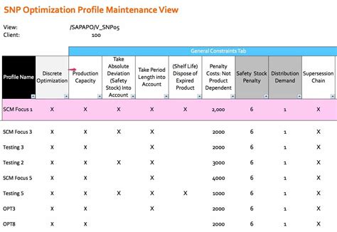 How To Best Set Up The Sap Snp Optimizer Brightwork Research Analysis