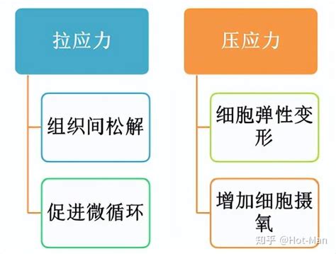冲击波疗法在臀上皮神经损伤中的临床应用 知乎